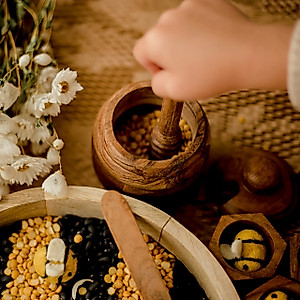 KOOKAROO Wooden Bee Hive Sorting & Stacking Toys for Toddlers -Learning Montessori Toys for 3 Year Old - Fine Motor Skill Tactile Toys - Sensory Bin Toys