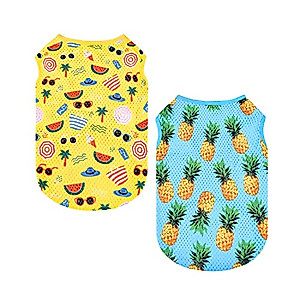 Dog Hawaiian Shirt Summer Puppy Clothes for Small Dogs Boy Girl Chihuahua Yorkie Teacup Pineapple Pet Tshirts for Cats Tiny Pets Outdoor Hawaii Doggy Shirts 2 Pack (Small, Hawaii)