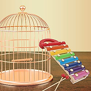 Balacoo 1set Bird Xylophone Toy Parrot Hanging Wood Music Toys Chicken Coop Pecking Toy Parrot Parakeets Molar Tearing Toys for Parrots Parakeets