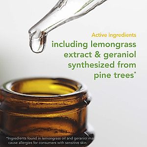 Raid Essentials Ant & Roach Killer Aerosol Spray, Child & Pet Safe, Kills Insects Quickly, for Indoor Use, 10 oz (Pack of 3)