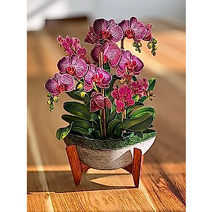 Freshcut Paper Pop Up Cards, Orchid Oasis, 12 Inch Life Sized Forever Flower Bouquet 3D Popup Greeting Cards, Birthday Gift Cards, Gifts for Her with Note Card & Envelope