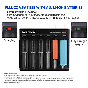 DOTTMON 6-Bay LED Universal Battery Charger for Ni-MH or Ni-Cd Batteries (AA, AAA, AAAA, SC, C, D) and Li-ion Batteries (22650, 25500, 18650, 18500, 18490, 18350, 17670, 16340, 14500, 10440)