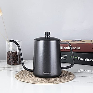 Easyworkz Gage Gooseneck Pour Over Coffee Kettle 20 oz with Thermometer Stainless Steel Hand Drip Coffee Pot With Long Narrow Spout