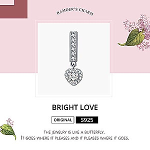 MEETCCY 925 Sterling Silver Reflexions Bracelet for Women Mesh Bracelet Clip Beads Safe Chain.Birthday Christmas for Friends Mothers Wife and Daughters (Love Heart Charms)