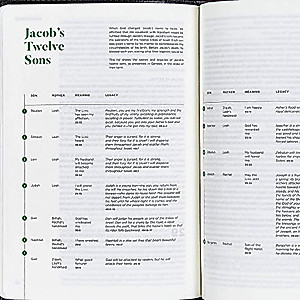 CSB He Reads Truth Bible, Black LeatherTouch, Black Letter, Wide Margins, Journaling Space, Illustrations, Reading Plans, Single-Column, Easy-to-Read Bible Serif Type