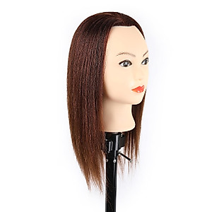Stancia Mannequin Head Human Hair 50cm, Hair Mannequin 100% Human Hair, Manikin Head Training Doll Head, Cosmetology Mannequin Head for Hairdresser Barber Student (Table Clamp Included)