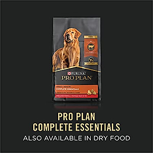 Purina Pro Plan High Protein Dog Food Wet Pate, Chicken and Rice Entree - (12) 13 oz. Cans