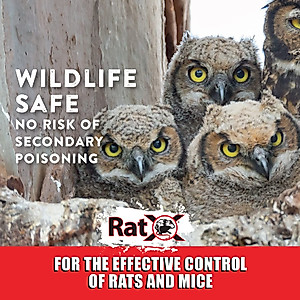 RatX Throw Packs- for All Species of Rats and Mice Safe Around Pets