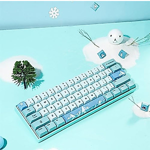 BOYI 61 Mini RGB Wired 60% Hot-Swappable Mechanical Gaming Keyboard,PBT Sublimation Keycaps NKRO Programmable Type-C Keyboard for Gaming and Working(BOYI Iceberg Snow Theme,Cherry MX Brown Switch)
