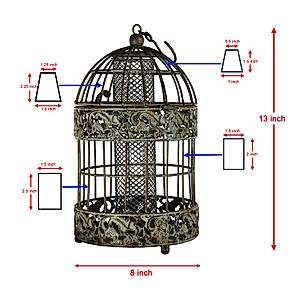 Westcharm 13 in. Caged Squirrel Proof Bird Feeder for Small Songbirds, Tall Rustic Metal Hanging Bird Feeder for Garden, Mesh Peanut Bird Feeder for Patio Yard - Verdigris 3.5 Cups Seed Capacity