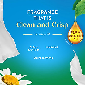 Air Wick Plug in Scented Oil Refill, 5ct, Fresh Linen, Essential Oils, Air Freshener