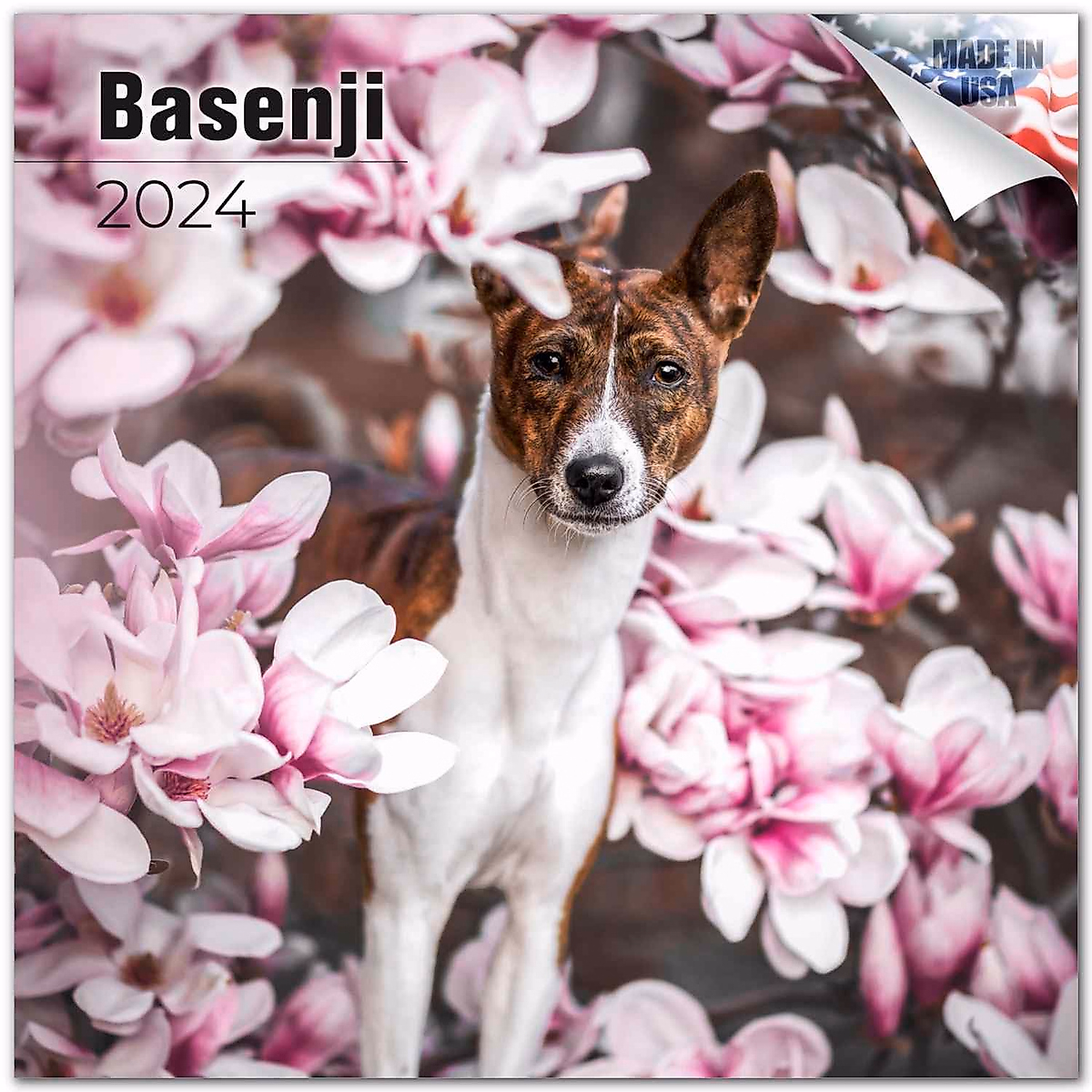 2023 2024 Basenji Calendar - Dog Breed Monthly Wall Calendar - 12 x 24 Open - Thick No-Bleed Paper - Giftable - Academic Teacher's Planner Calendar Organizing & Planning - Made in USA