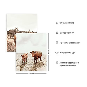 HAUS AND HUES Highland Cow Art and Farmhouse Wall Decor Cow Wall Art and Farmhouse Pictures | Cow Decor | Cow Prints Wall Art | Cow Pictures Wall Décor
