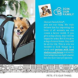 Paws & Pals Airline Approved Pet Carriers with Fleece Bed For Dog & Cat, Large, Mineral Blue