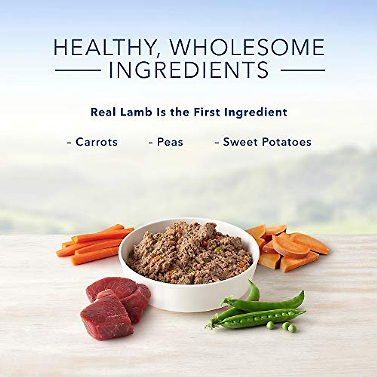 Blue Buffalo Homestyle Recipe Natural Adult Small Breed Wet Dog Food, Lamb 5.5-oz can (Pack of 24)