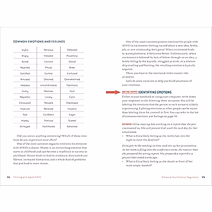 Thriving with Adult ADHD: Skills to Strengthen Executive Functioning