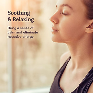 Magnificent 101 Scorpio Zodiac Sign Candle – Scented Soy Wax – Choose Your Birthdate – Make Great Holiday Gifts for Horoscope Fans – 6 oz Tin Holder Ideal for Men’s and Women’s Décor Style