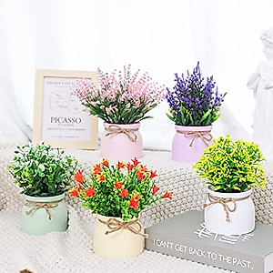 CEWOR Small Fake Plants - 5 Pack Artificial Potted Flowers Faux Greenery Plants, Eucalyptus Boxwood Lavender in Plastic Macaron Pots Bonsai for Home Office Shelf Desktop Indoor Outdoor Wedding Decor