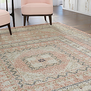 Rugs America Harper HY40A Vintage Transitional Carnation Non-Shedding Living Room Bedroom Dining Home Office Area Rug, 8'0" x 10'0"