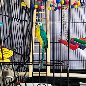 LWINGFLYER 2pcs Birdie Basics Wooden Ladder for Bird Cage Climbing Ladder Toy for Parakeets Parrots Cockatoo (6 Step & 8 Step)