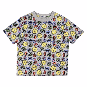 Sesame Street Boys Toddler Shirt Elmo Cookie Monster Big Bird Toddler Boys Allover Shirt (Heather, 4T)