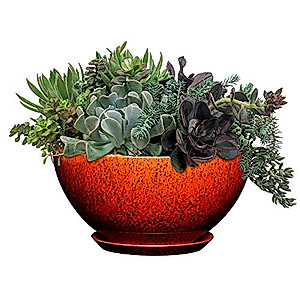 Classic Home and Garden 9010D-376R 10" Rosie Bowl Planter, Lava Red