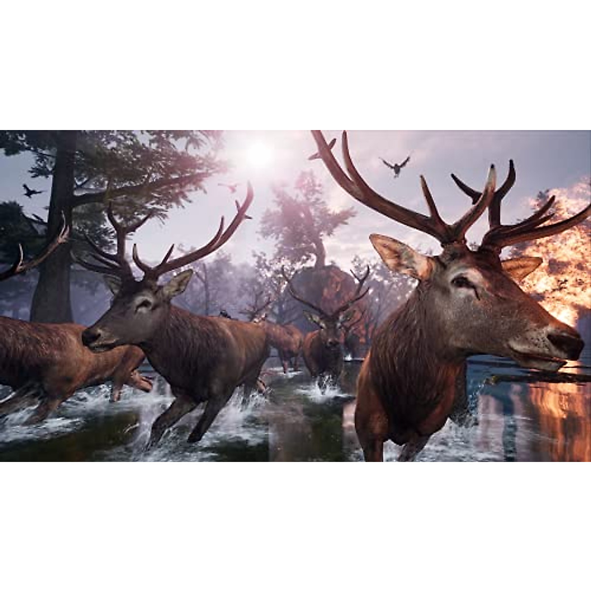 Away: The Survival Series - PlayStation 4