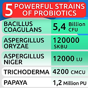 BARK&SPARK Dog Probiotic Chews - Gas, Diarrhea, Allergies - Enzymes + Prebiotics - Chewable Fiber - Digestion, Immunity - USA Made - 100 Ct - ChickenLiver
