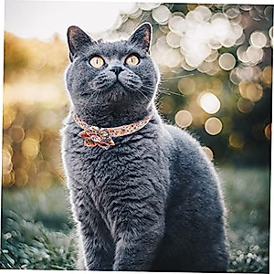 Mipcase Pet Collar Puppy Collars Kitten Collars Soft Cat Collar Cone Dog Training Collar Dog Cone Collar Pet Neckbands Cat Necktie Pet Decor Accessory Cotton Printing Pink Dog Leash
