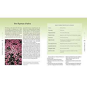 The Chakra Bible: The Definitive Guide to Working with Chakras (Volume 11) (Mind Body Spirit Bibles)