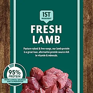 Venture Roasted Lamb & Butternut Squash Limited Ingredient Dry Dog Food, 4 lbs. (1710565E)