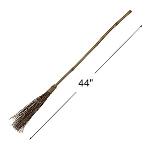 Witch Broom