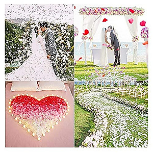 KnR Harmony Rose Flower Petals White 1200pcs Silk Petals for Wedding Romantic Night Table Confetti Valentine's Day Decoration