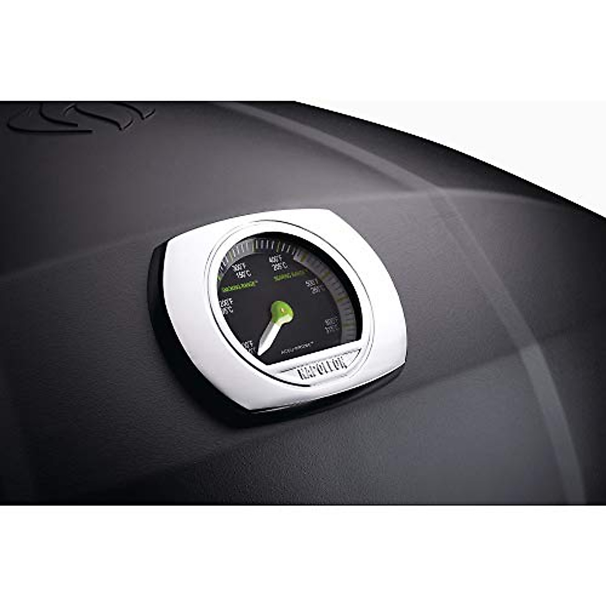 Napoleon Propane Gas Grill