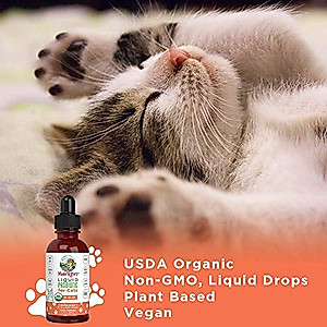 Cat Probiotic | USDA Organic Probiotic Cat | Probiotic for Cats | Cat Probiotic for Digestive Support | Supplement for Gut Health & Beneficial Bacteria | Vegan | Non-GMO | Gluten Free | 4 Fl Oz