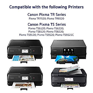 Arthur Imaging Compatible Canon Ink cartridges 280 Replacement PGI-280XXL for PIXMA TR7520 TR8520 TS6120 TS6220 TS8120 TS8220 TS9120 TS9520 TS9521C Printer (2 PGBK)