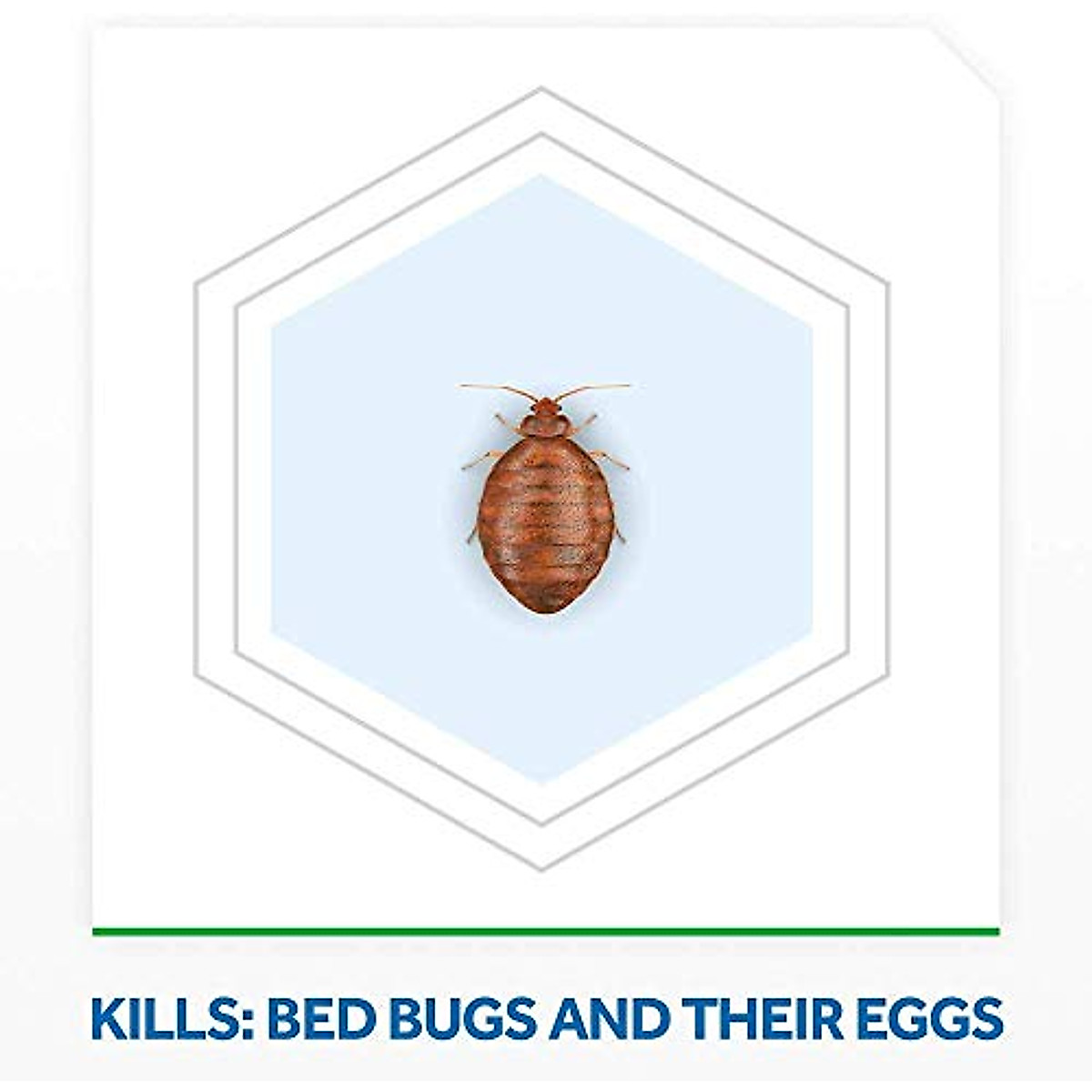 Raid Max Foam Bed Bug 17.5 Ounce (Pack of 3)