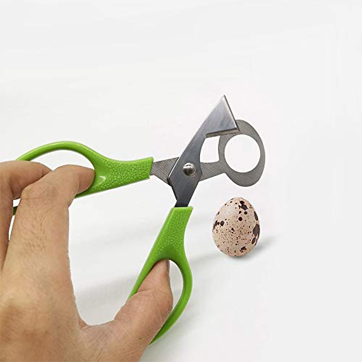 ReNext Pack of 2 Stainless Steel Pigeon Quail Egg Scissor Green