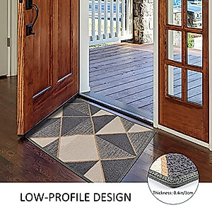 Lavezee Indoor Doormat Front Back Door Rug, 19.6"x31.5" Absorbent Non Slip Soft Floor Inside Mat for Entrance, Patio, Grey
