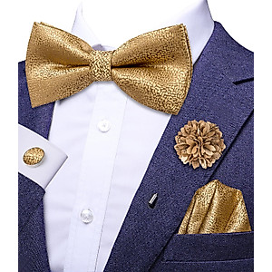 Dubulle Gold Bow Tie Lapel Pin Set for Men Mens Solid Gold Pretied Bowties Handkerchief Cufflinks