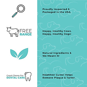 Dog Nip! 4-5" Bully Stick Springs - All Natural Bully Pizzle Bone - Grass Fed Beef - Curly Spiral Bully Sticks - Long Lasting Dog Chew Dental Treats