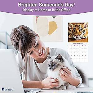 Super Cute 18 Month Baby Animals Wall Calendar 2023-2024. Big 12x12 Inch Novelty Gift With Puppies, Kittens and More. Great for Men, Women or Kids. Perfect Stocking Stuffer or Decor for Animal Lovers.