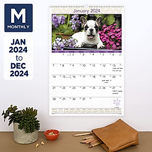 2024 AT-A-GLANCE® Puppies Monthly Wall Calendar, 15-1/2" x 22-3/4", January to December 2024, DMW16728