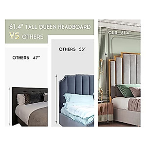 HOWE Queen Size Bed Frame and 61" Headboard, Upholstered Bed with Golden Plating Trim, Modern Platform Bed No Box Spring Needed, Light Grey