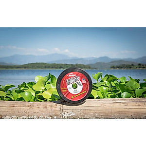 Berkley Trilene® XL®, Fluorescent Clear/Blue, 6lb | 2.7kg, 110yd | 100m Monofilament Fishing Line, Suitable for Freshwater Environments