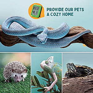 INKPET Reptile Terrarium Thermometer Hygrometer with Max/min Record Digital Display for Bearded Dragon Tank Accessories, Leopard Gecko, Tortoise Habitat, Crested Gecko TR-1A