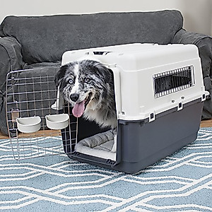 SportPet Designs Plastic Kennels Rolling Plastic Wire Door Travel Dog Crate- Large Kennel, Gray
