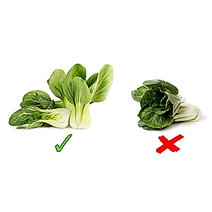 1000 Bok Choy Seeds - Shanghai Green Stem - Heirloom Non-GMO Vegetable Seeds for Planting - AKA Pak Choi, Pok Choi, Chinese Cabbage