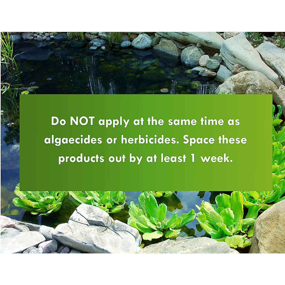 Pondworx Water Clear - Concentrated Formulation Improves Water Clarity and Quality, Helps Clear Cloudy Water, Safe for Fish, Pets, and Plant - 1 Gallon