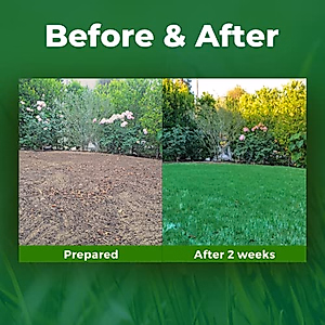 Growtrax Biodegradable Grass Seed Mat, Year Round Green - 50 Sq Ft Quick Fix Roll - Growing Solution for Lawns, Dog Patches and Shade - Just Roll Water & Grow -Not Fake or Artificial Grass